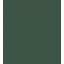 Chalky Matt Paint in Tump By Morris & Co