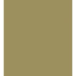 Chalky Matt Paint in Twining Vine By Morris & Co